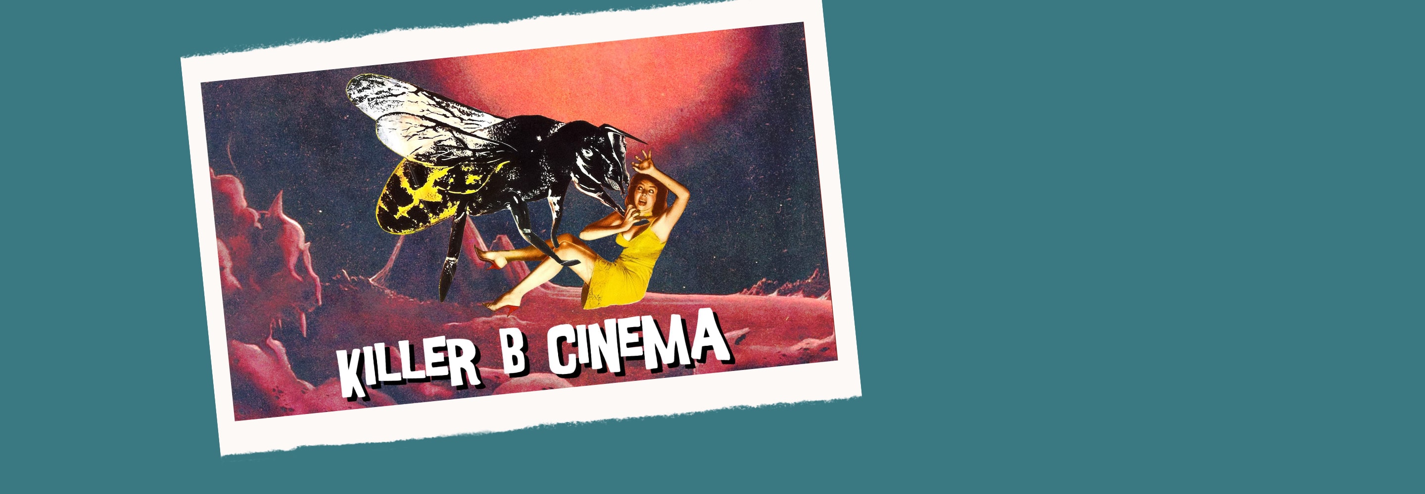 Killer B Cinema Presents: Zuma - Young W